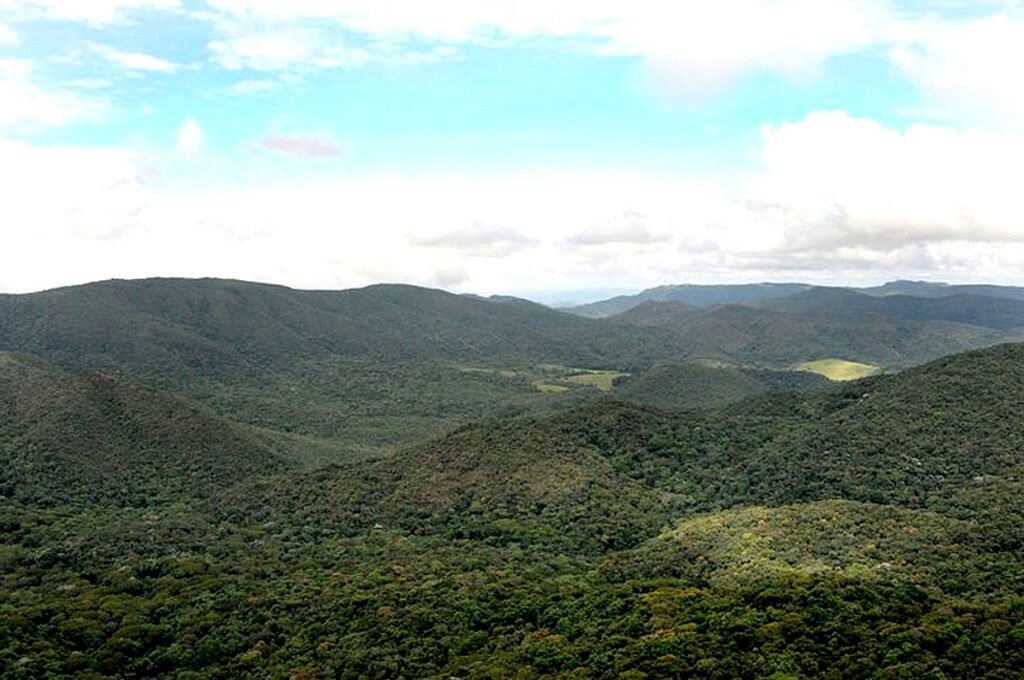 Serra do Japi em Jundiaí – Patrimônio Natural e Qualidade de Vida - GM ...